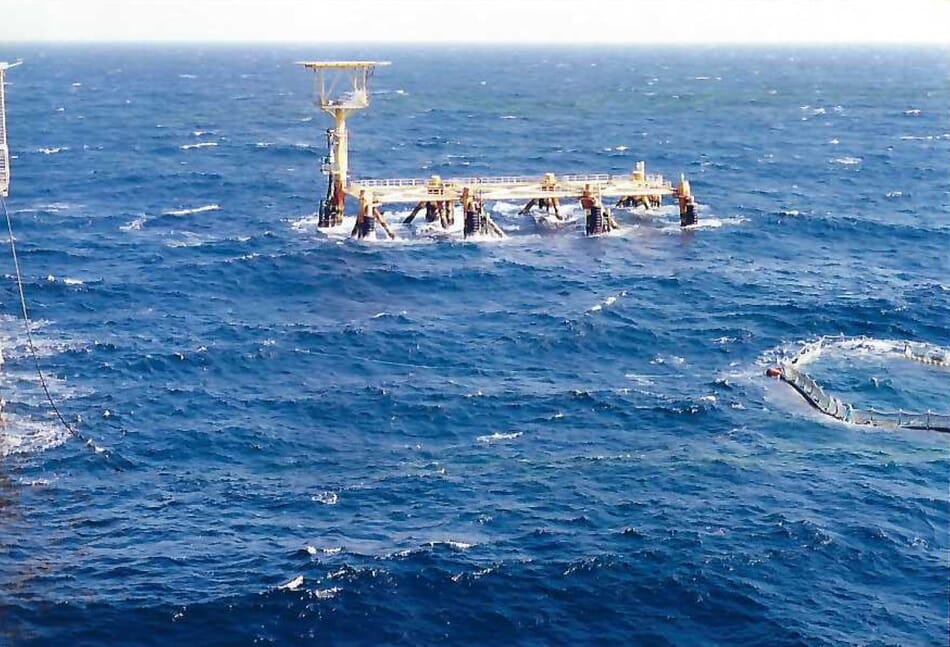 From Shell to shellfish: can aquaculture offer new lease of life to ...