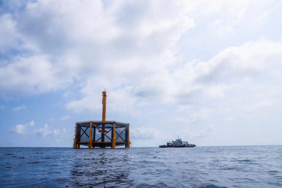 China harvests first cohort of salmon from submersible pens | The Fish Site