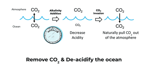 Startup puts its ocean-based carbon removal MRV forward for scientific ...
