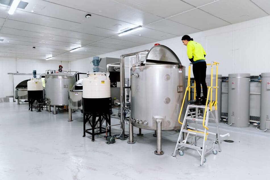 Seaweed nanocellulose biorefinery opens in New Zealand | The Fish Site