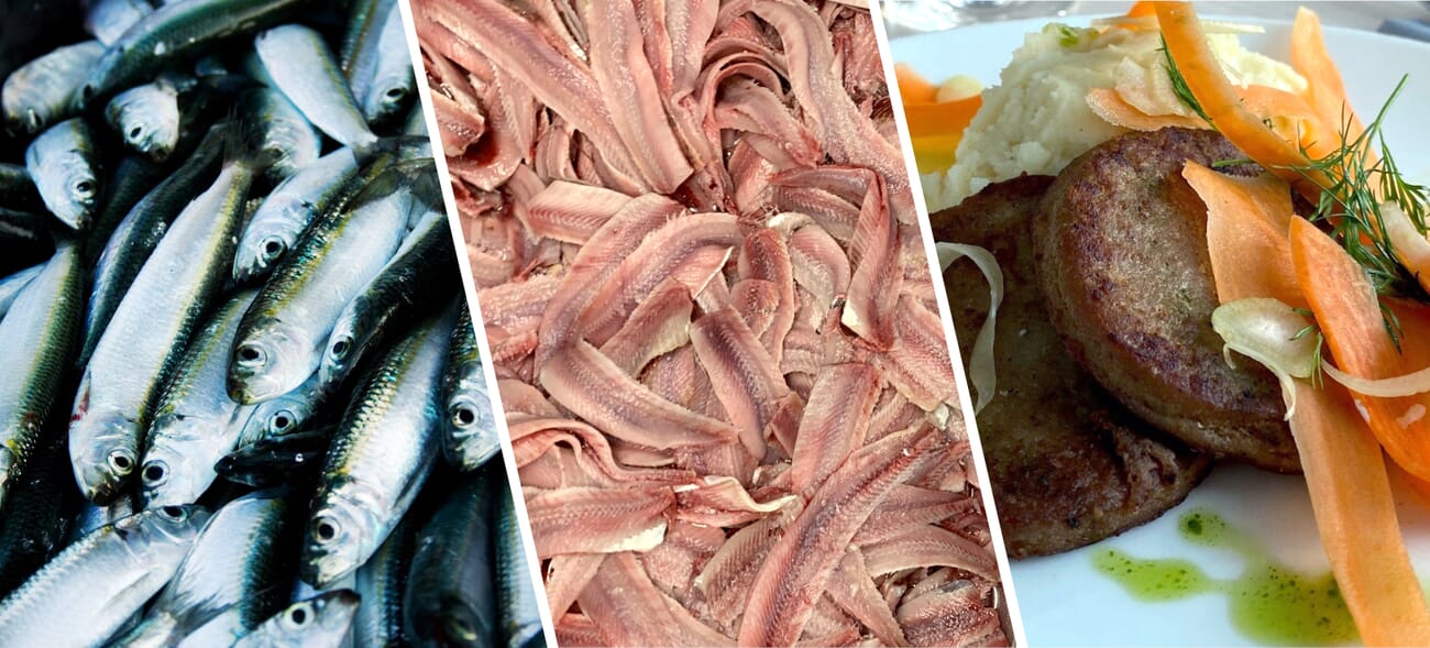 New tech takes fish side streams mainstream | The Fish Site