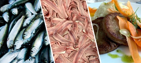 New tech takes fish side streams mainstream | The Fish Site