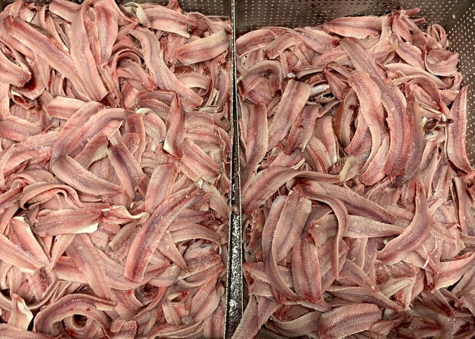 New tech takes fish side streams mainstream | The Fish Site