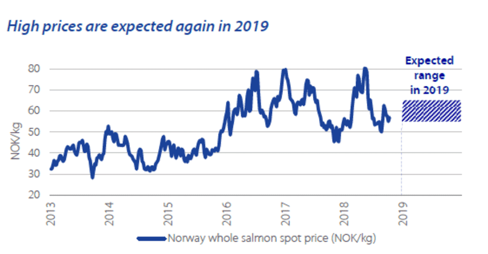 Salmon and shrimp: supply and price predictions for 2019 | The Fish Site