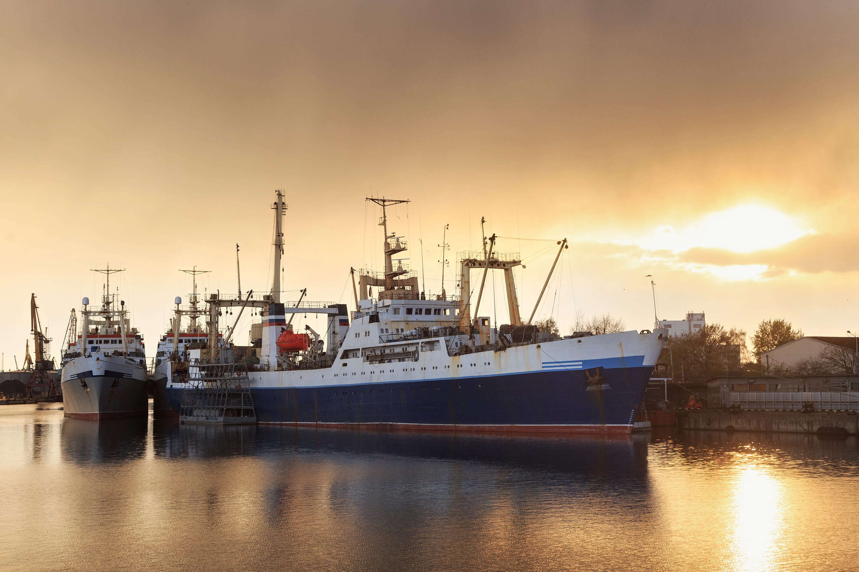 Russian pollock fleet recertified | The Fish Site