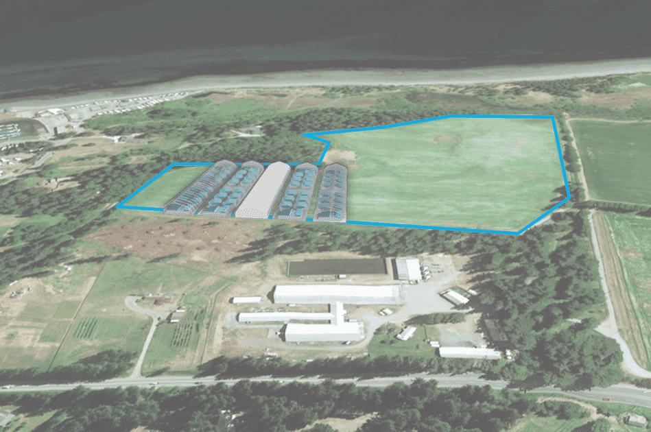 Taste of BC applies for 1,500 tonne steelhead RAS | The Fish Site