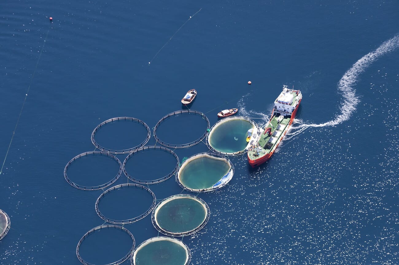 BIO-UV Group and Innovasea sign aquaculture agreement | The Fish Site