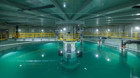 Strong Q3 results for Salmon Evolution | The Fish Site
