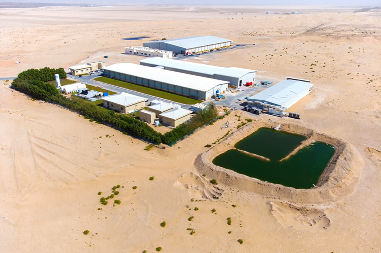 FAO outlines a holistic approach to sustainable aquaculture | The Fish Site