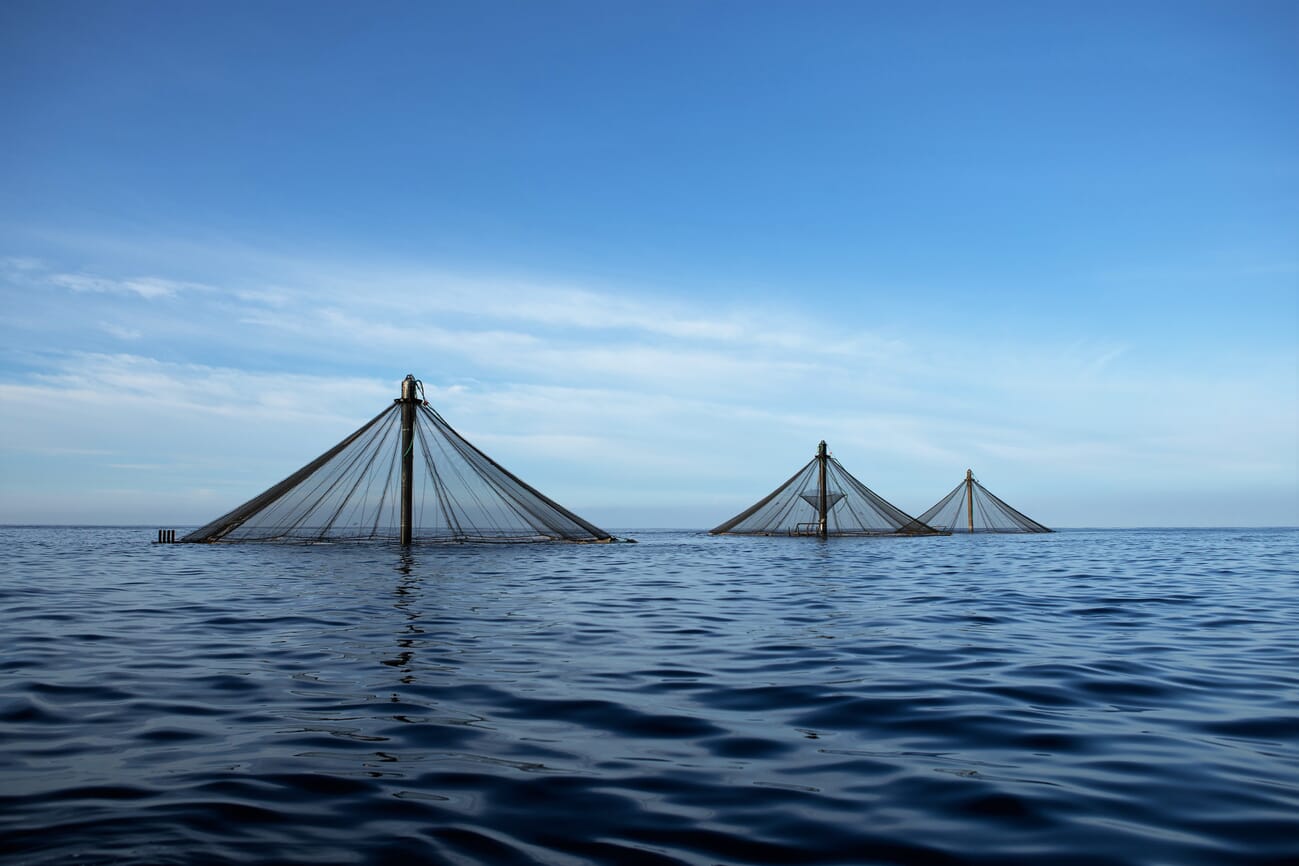 Innovasea helps create Aruba’s first ocean-based fish farm | The Fish Site