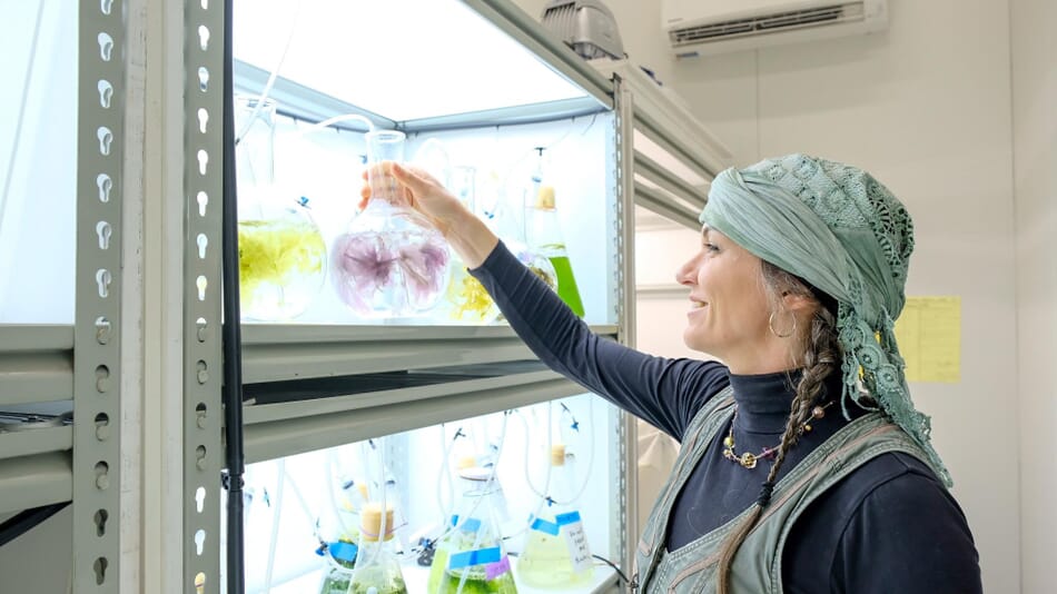 Australia’s emerging seaweed startups | The Fish Site