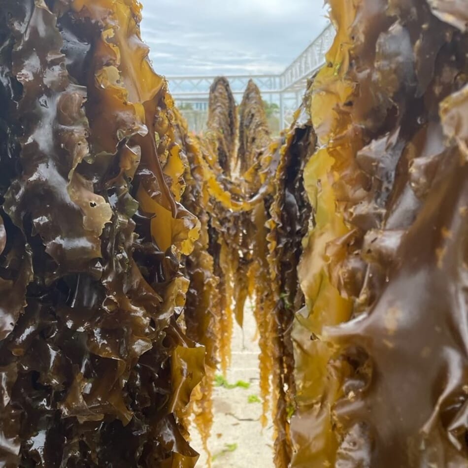 EU allocates €5.7 million for four fresh aquaculture projects | The ...