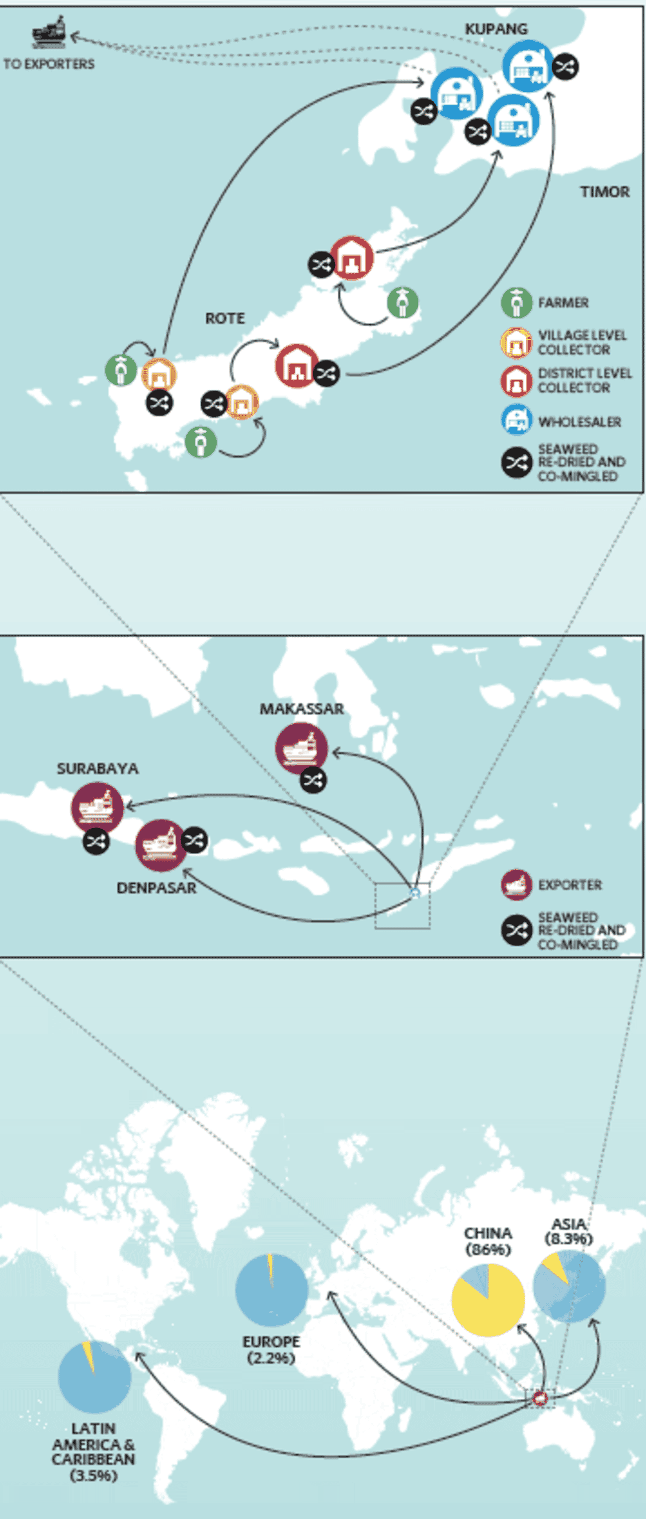 Helping seaweed farming achieve its full potential: how improved ...
