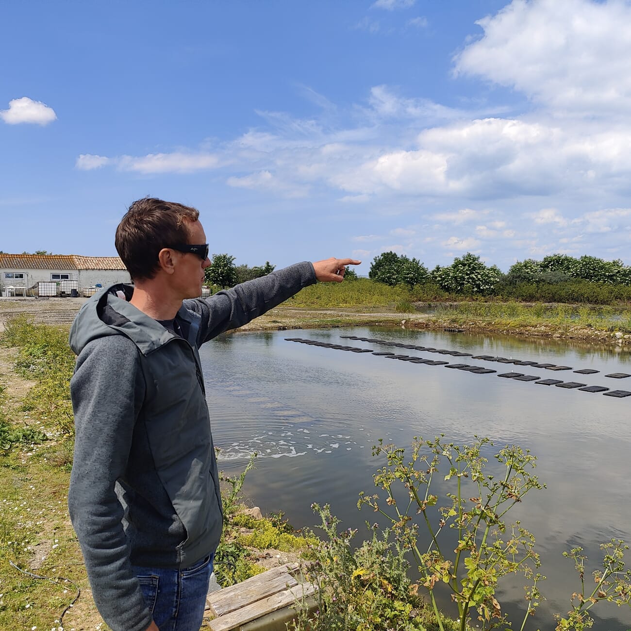 From raising seahorses to salt marsh food webs: Thomas Miard’s journey ...