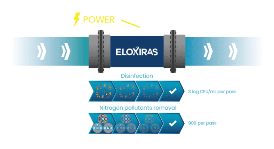 Is it time to look beyond traditional biofilters in RAS? | The Fish Site