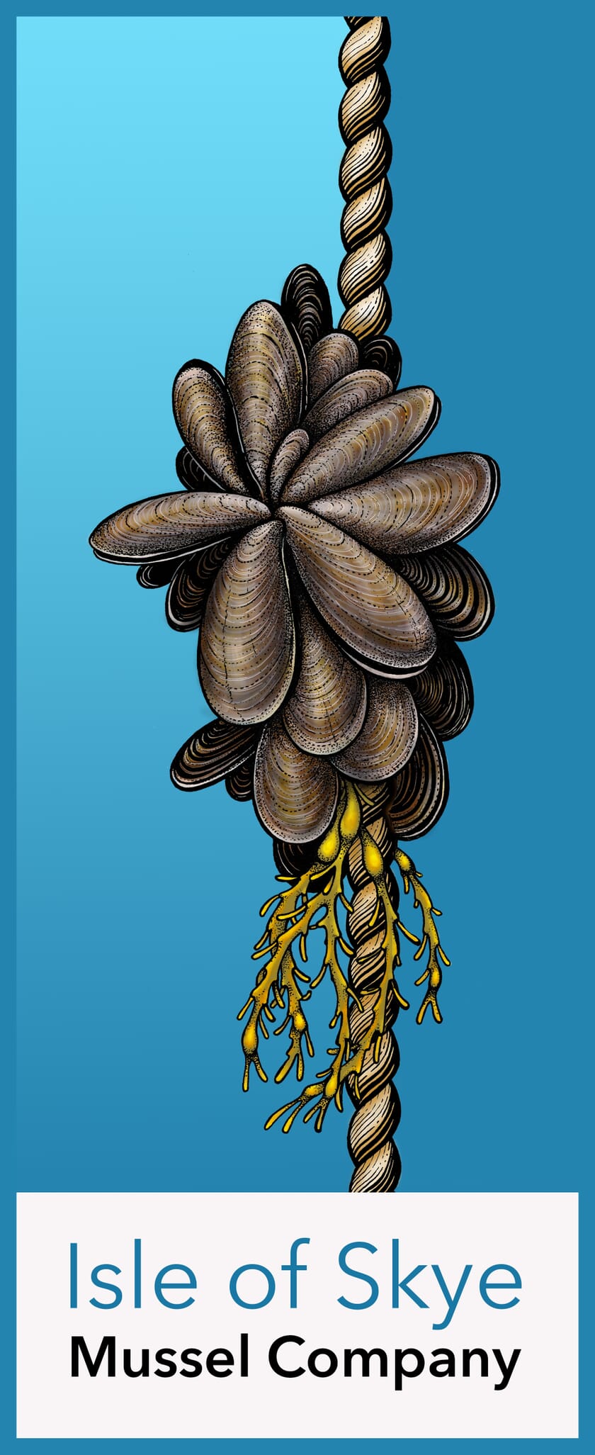 Learning the ropes: a beginner's guide to mussel farming | The Fish Site