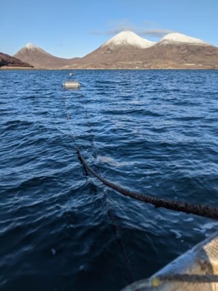 Learning the ropes: a beginner's guide to mussel farming | The Fish Site