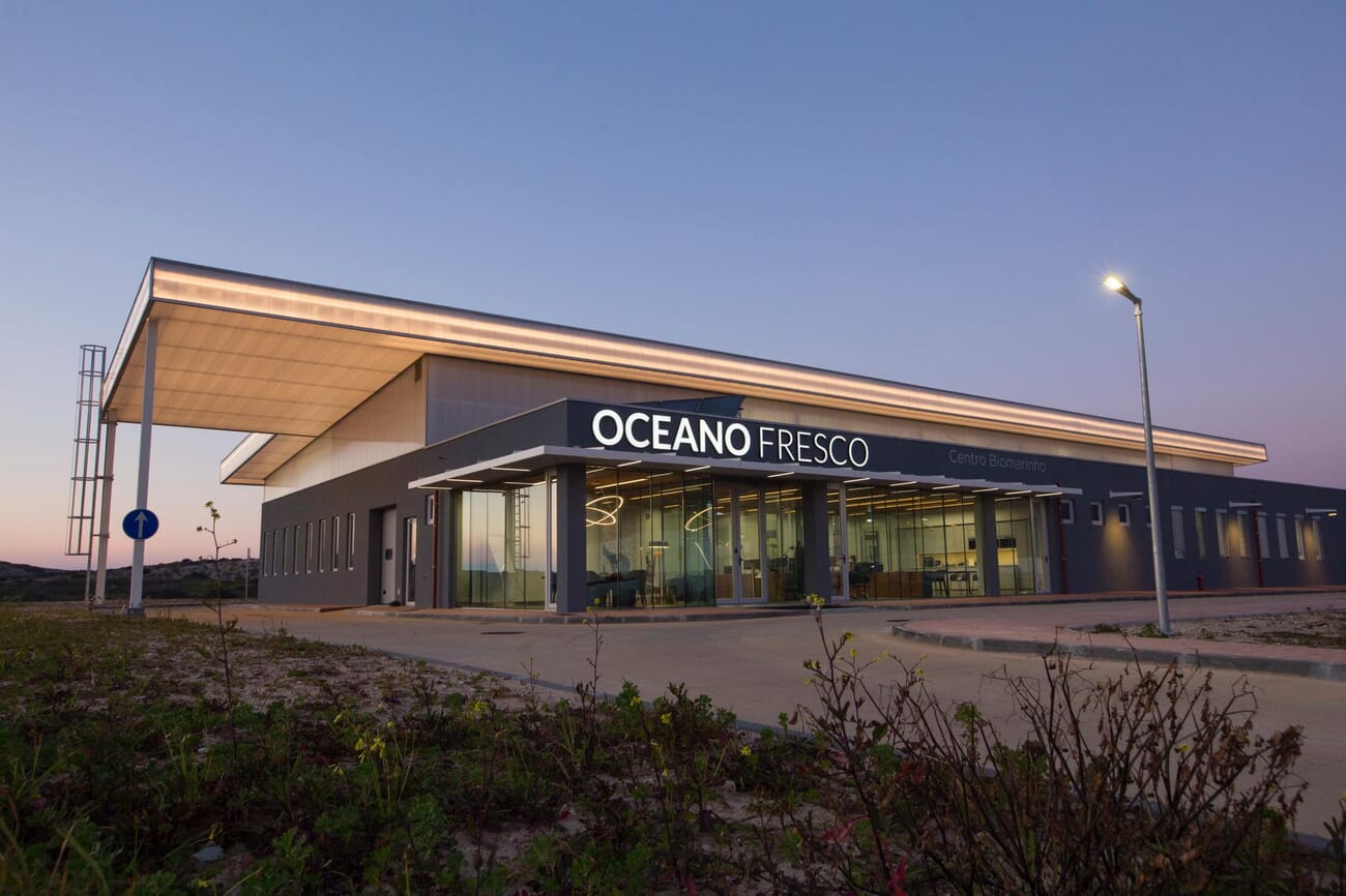 Oceano Fresco secures €17 million for clam farming project | The Fish Site