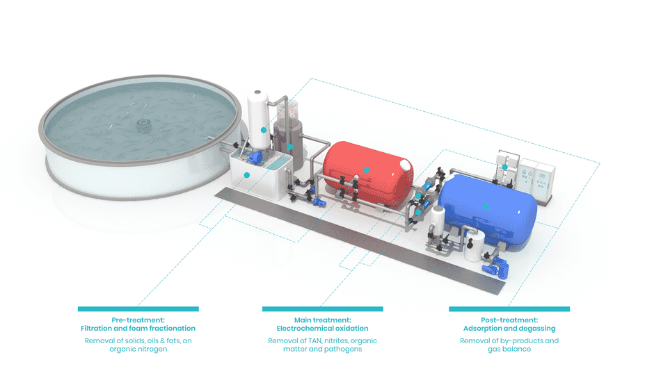 Is it time to look beyond traditional biofilters in RAS? | The Fish Site