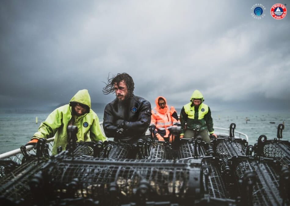 Tasmanian Oyster Company declared Friend of the Sea | The Fish Site