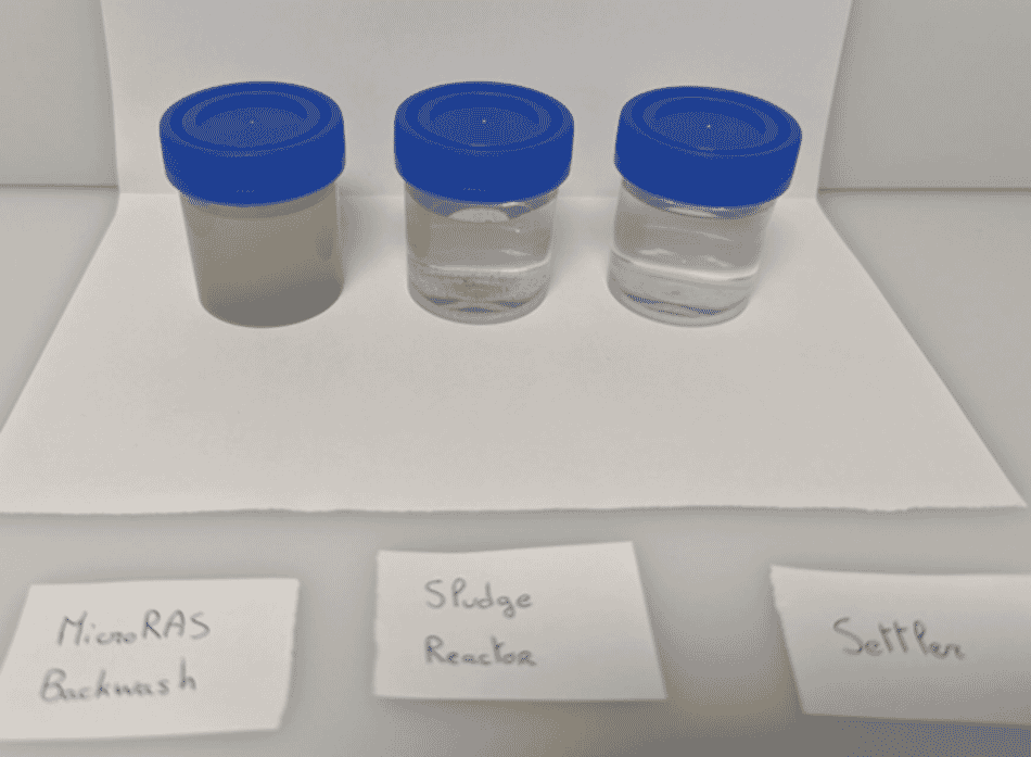 Is it time to look beyond traditional biofilters in RAS? | The Fish Site