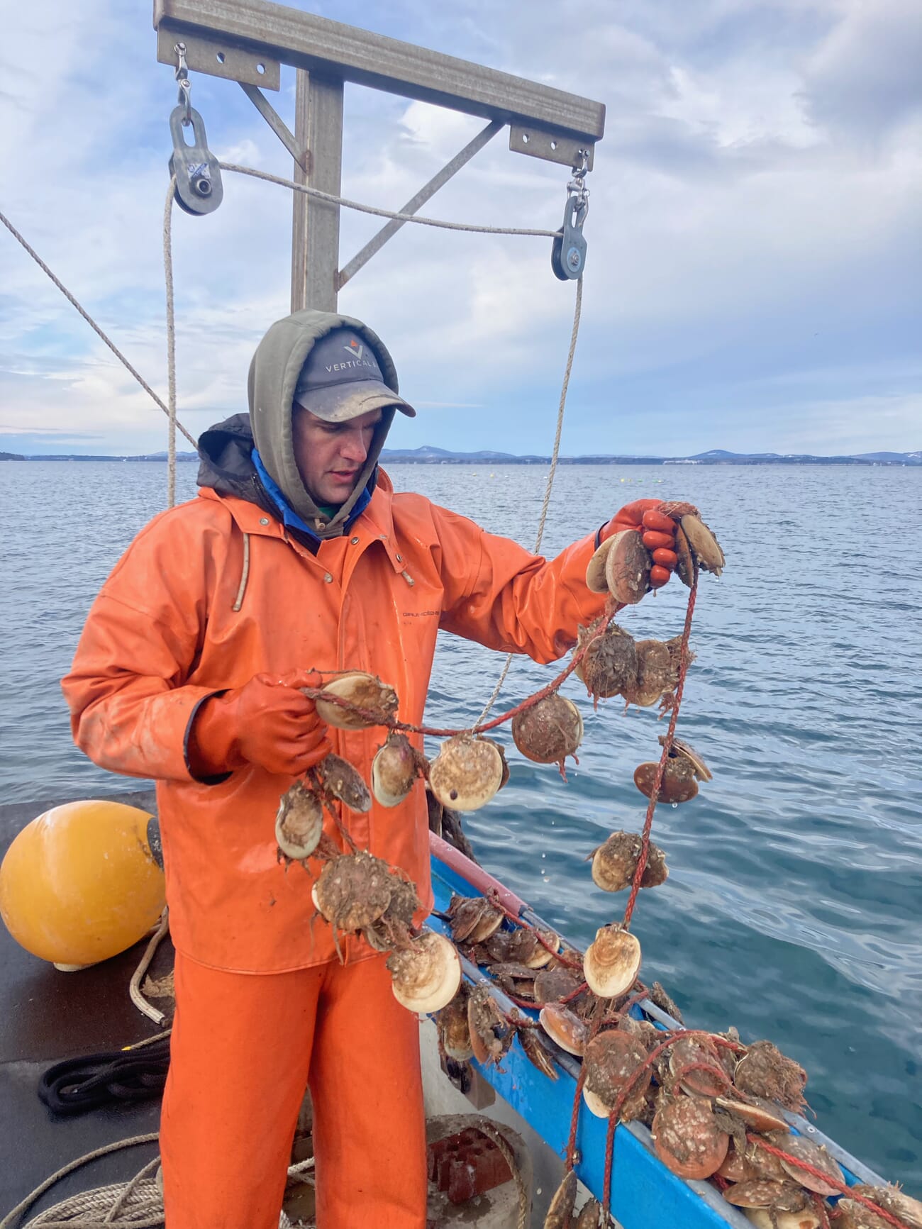 Vertical Bay: the US startup seeking to emulate Japan's scallop farming ...