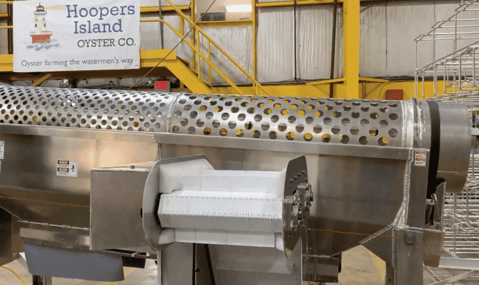 Oyster firm launches pair of shellfish processing machines | The Fish Site