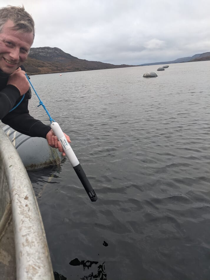 Mussel farming: a source of sustainable protein that promotes ...