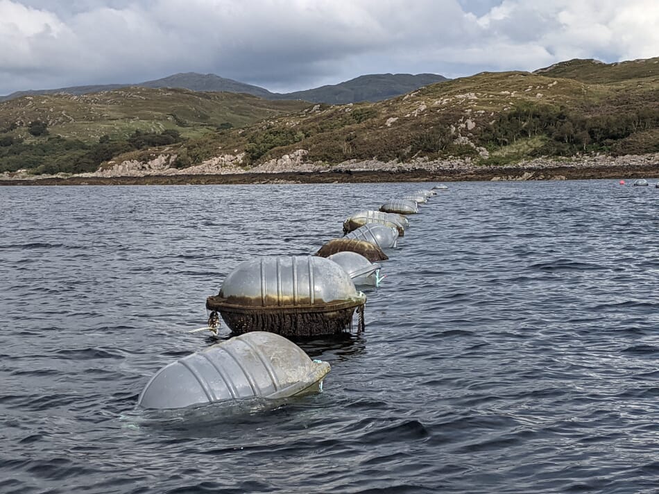 Life lessons and keeping a mussel farming business afloat | The Fish Site