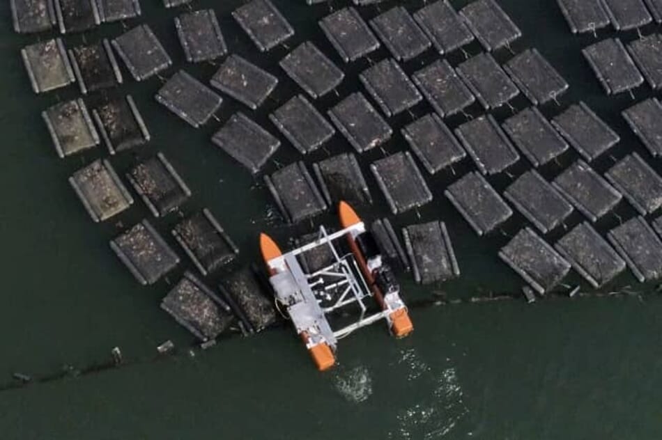 MIT designs autonomous robot for oyster industry | The Fish Site