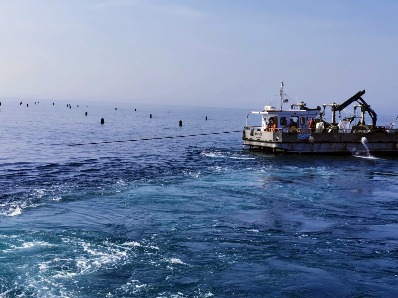 Restorative aquaculture: Offshore Shellfish | The Fish Site