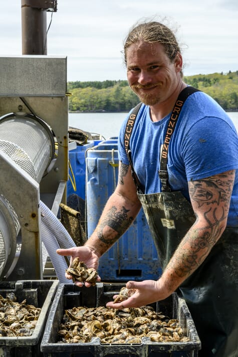 Countering threats to shellfish production | The Fish Site