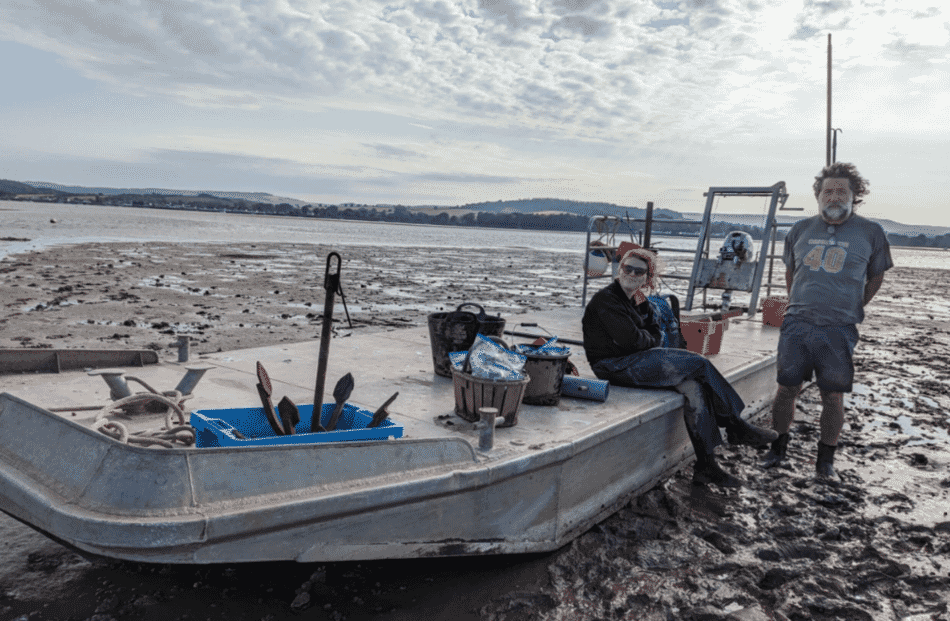 Researchers confirm ecosystem benefits of UK oyster farms | The Fish Site