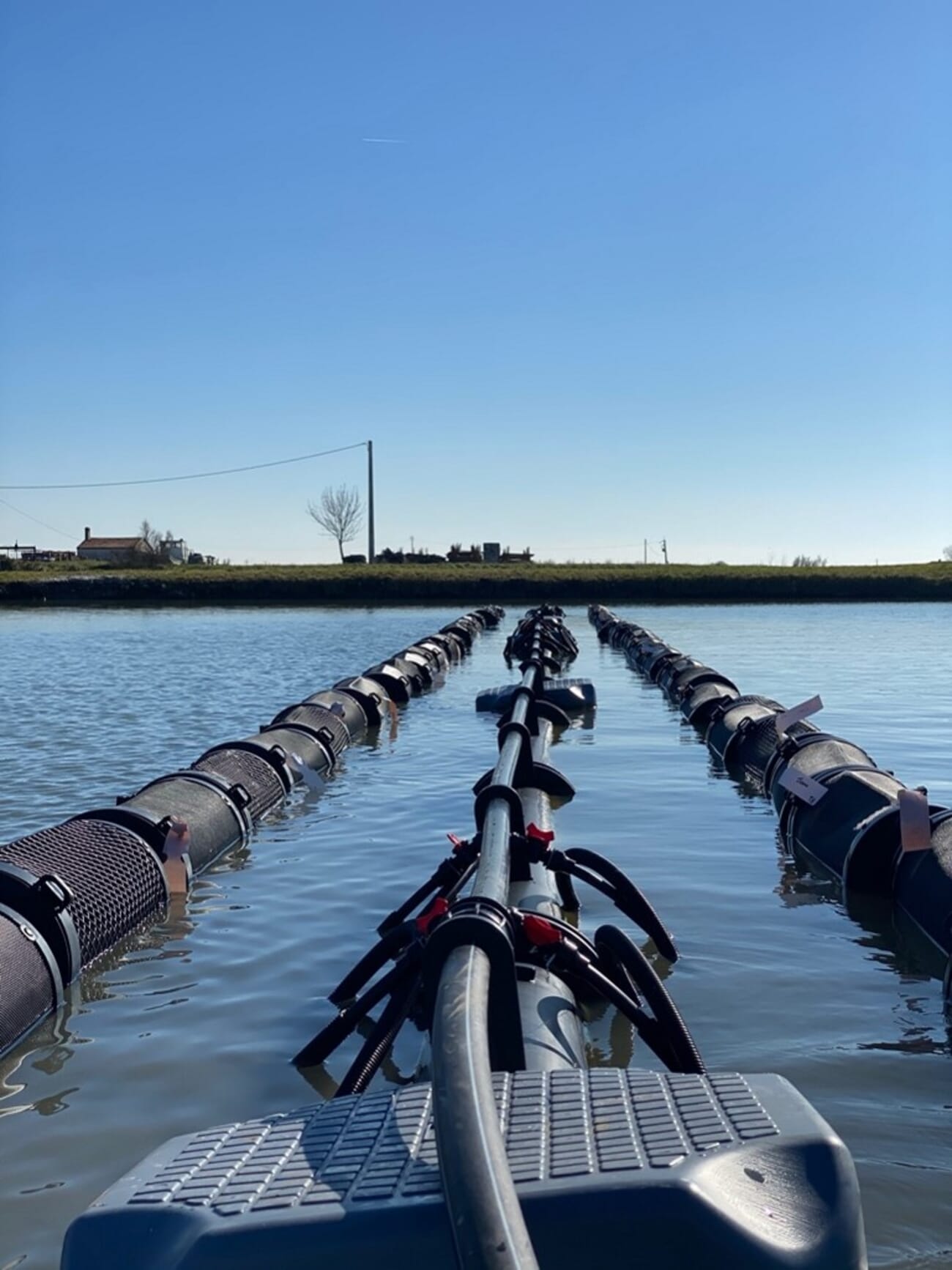 The French oyster revolution | The Fish Site