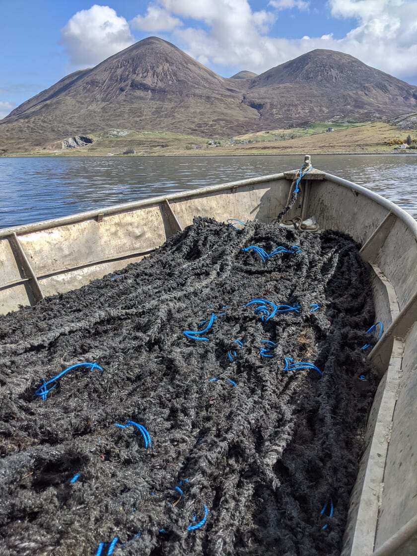 The mysterious world of mussel spat collection | The Fish Site