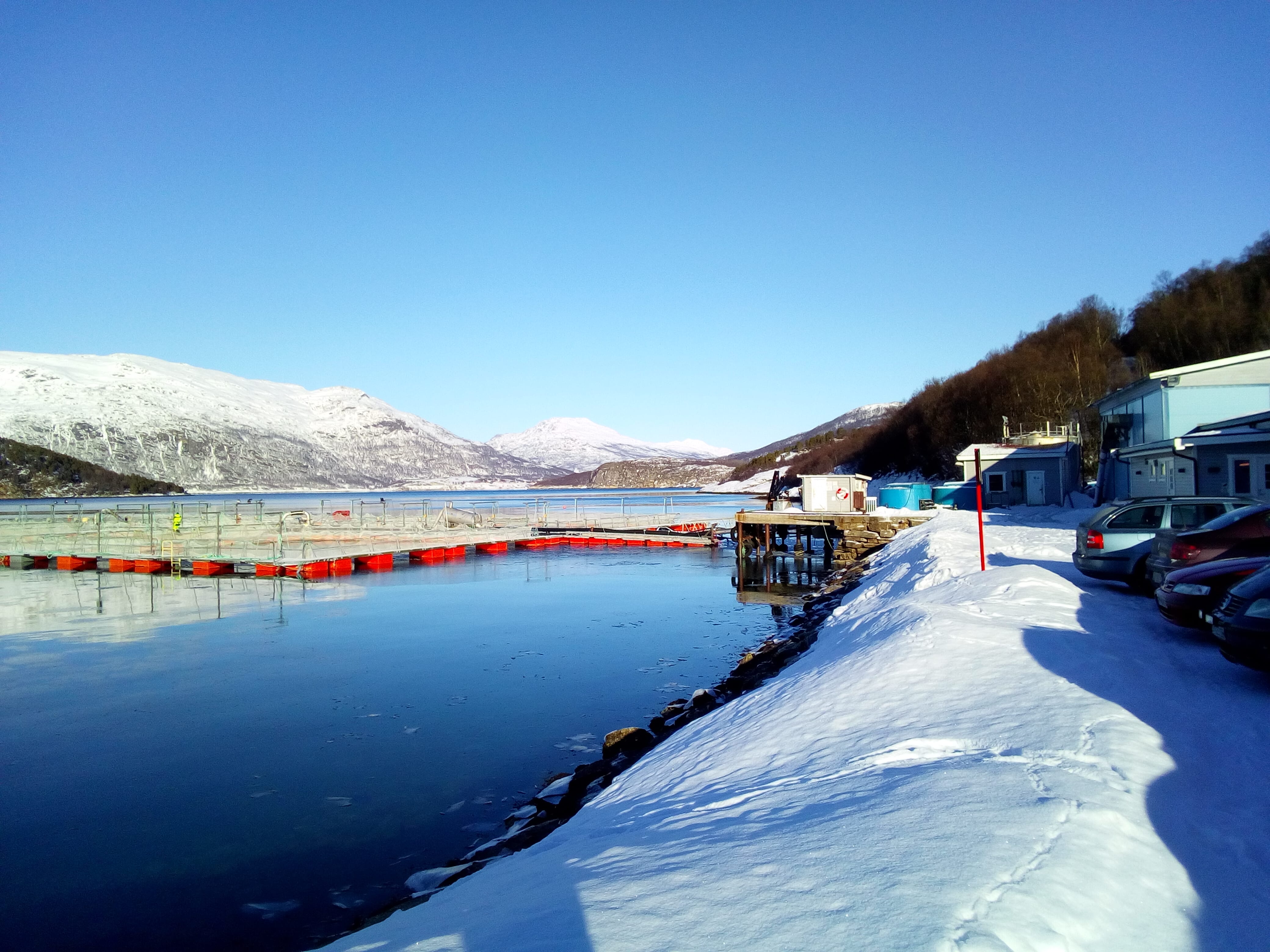 A cool idea for seafood transport | The Fish Site