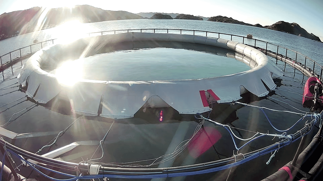 Novel closed-containment salmon farm launched in Norway | The Fish Site