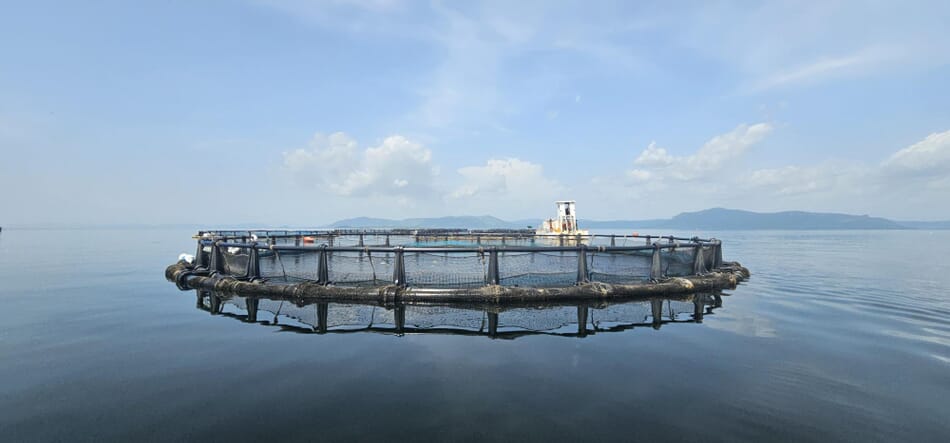 Tropo Farms to expand tilapia production in Ghana | The Fish Site