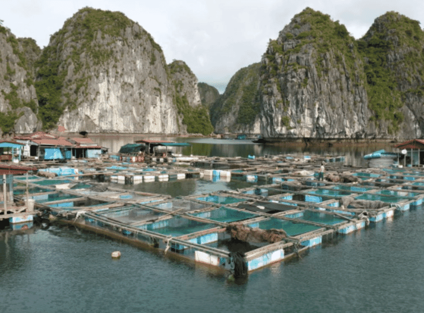 More evidence needed to back aquaculture's value | The Fish Site