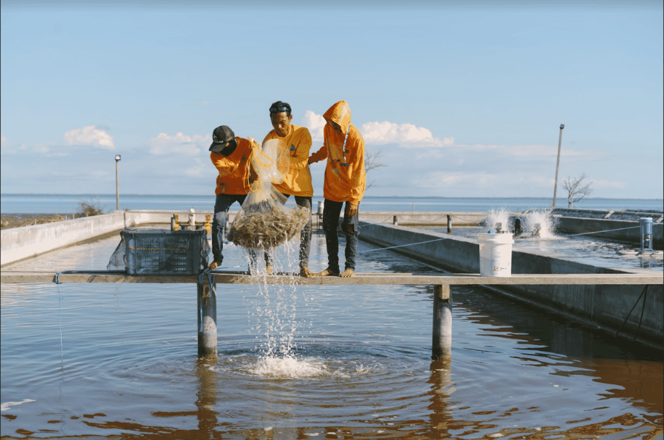 Women in Aquaculture – Cynthia Darmawan | The Fish Site