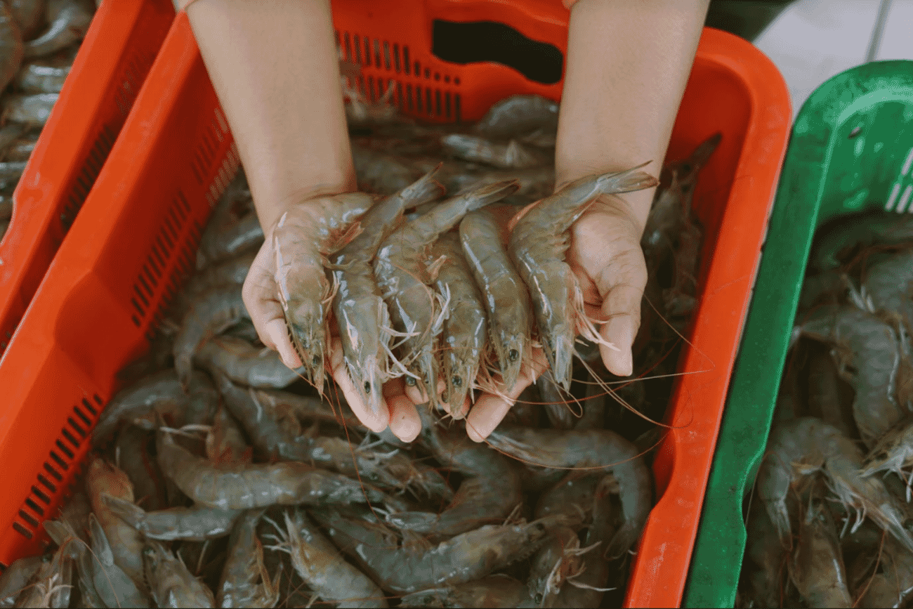 Women in Aquaculture – Cynthia Darmawan | The Fish Site