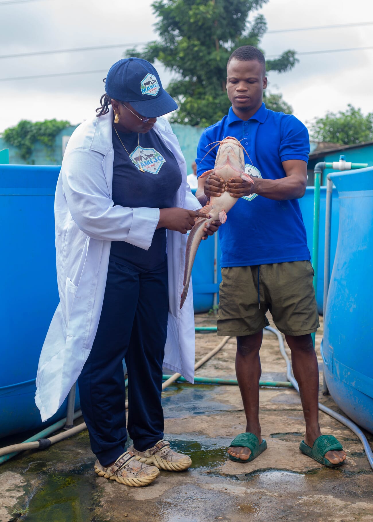 Three catfish farms and counting... | The Fish Site