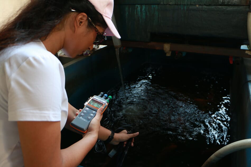 Women in aquaculture: Dipika Roy Prapti | The Fish Site