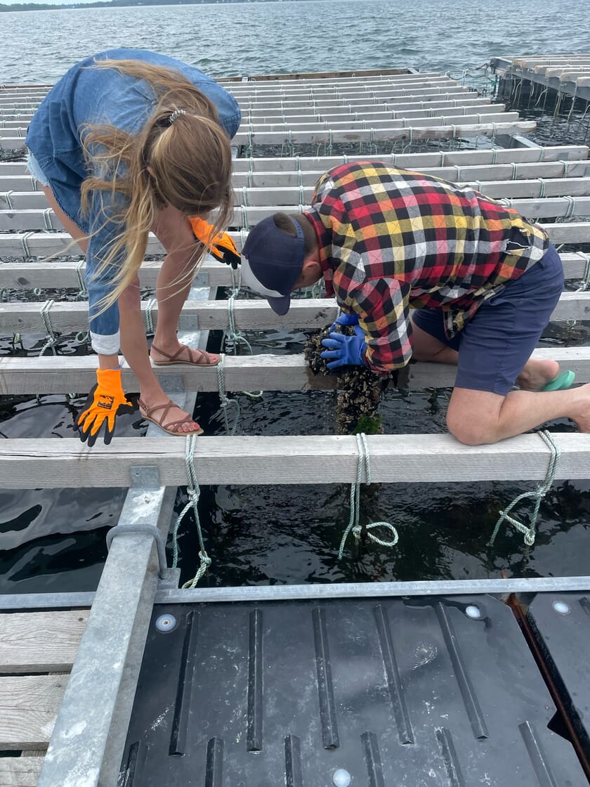 Women in Aquaculture: Heather Sadusky | The Fish Site