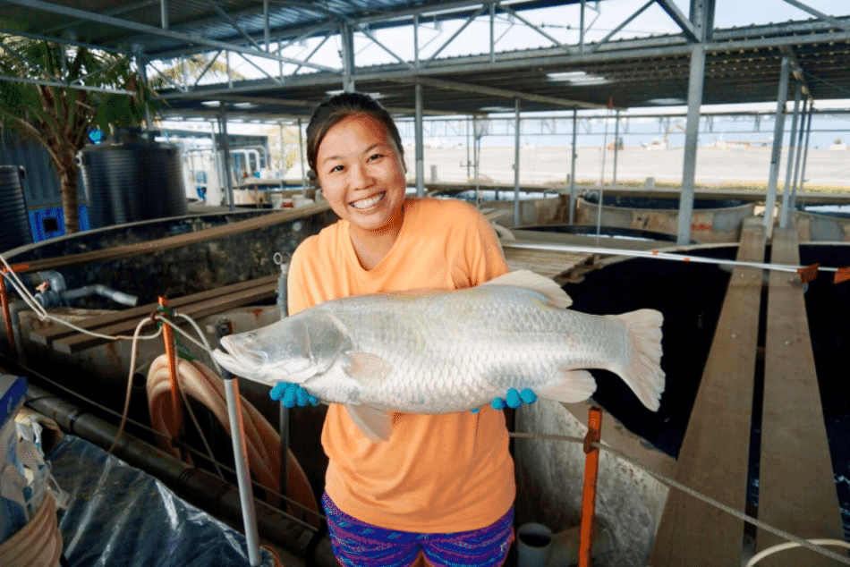 Singaporean firm triples barramundi production | The Fish Site