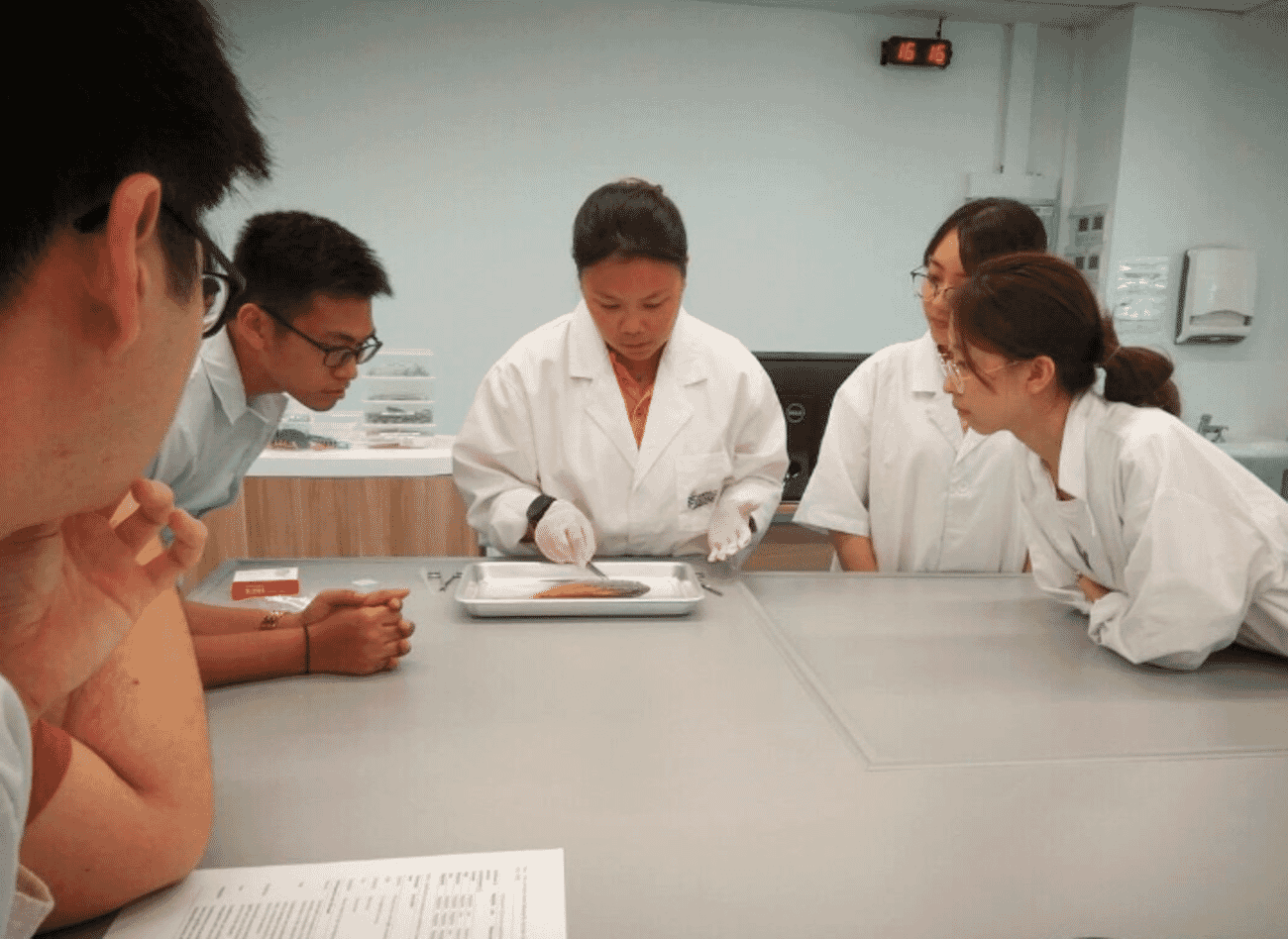 Women in aquaculture: Marie Tan | The Fish Site