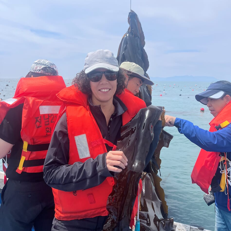 Why certification is key for the long-term health of the seaweed sector ...