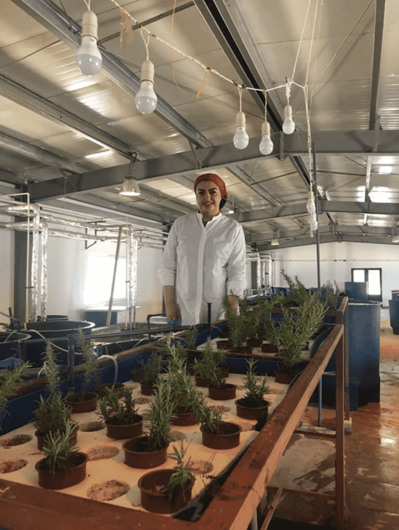 Women in aquaculture: Yasmin Abdullah | The Fish Site