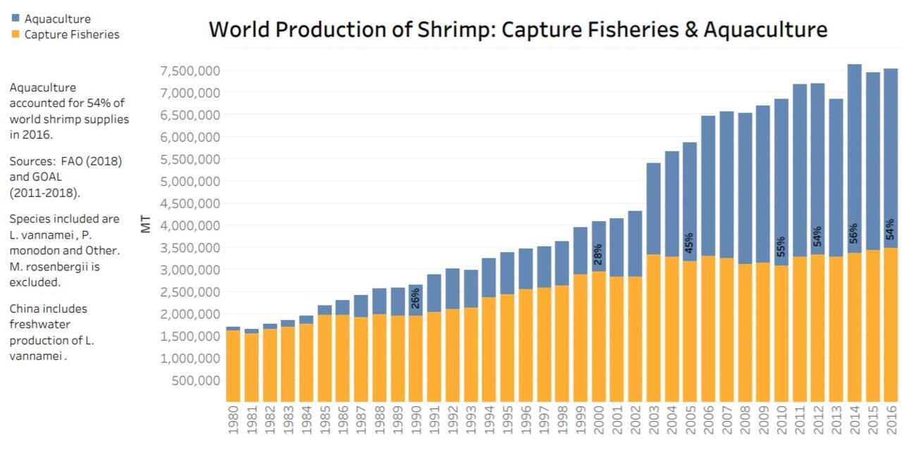 18% increase in shrimp production predicted | The Fish Site