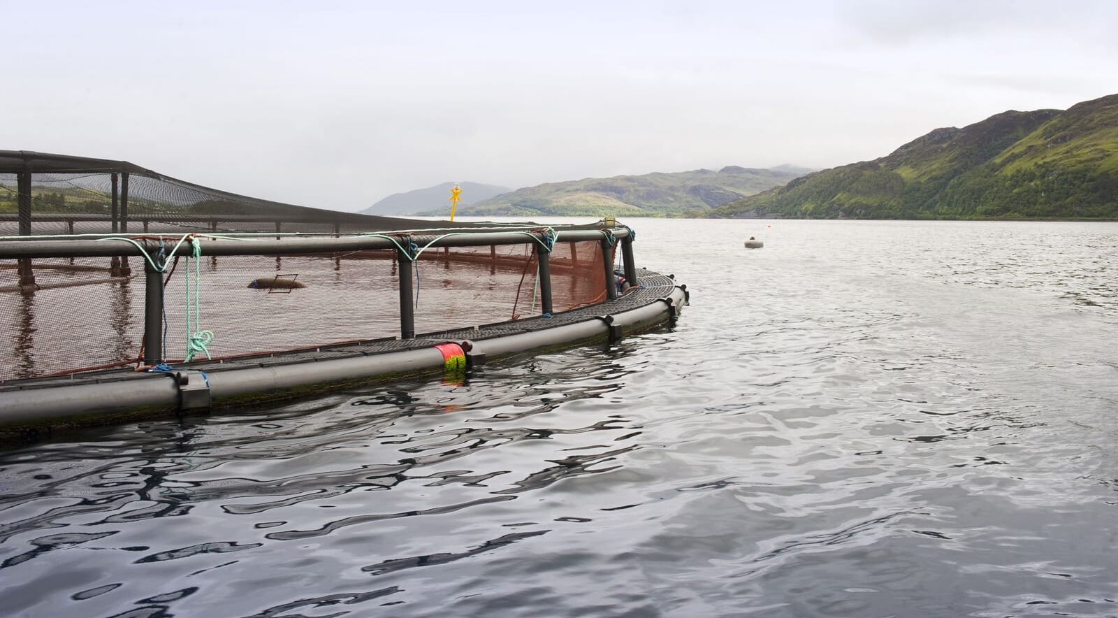 How salmon farming fosters community spirit | The Fish Site